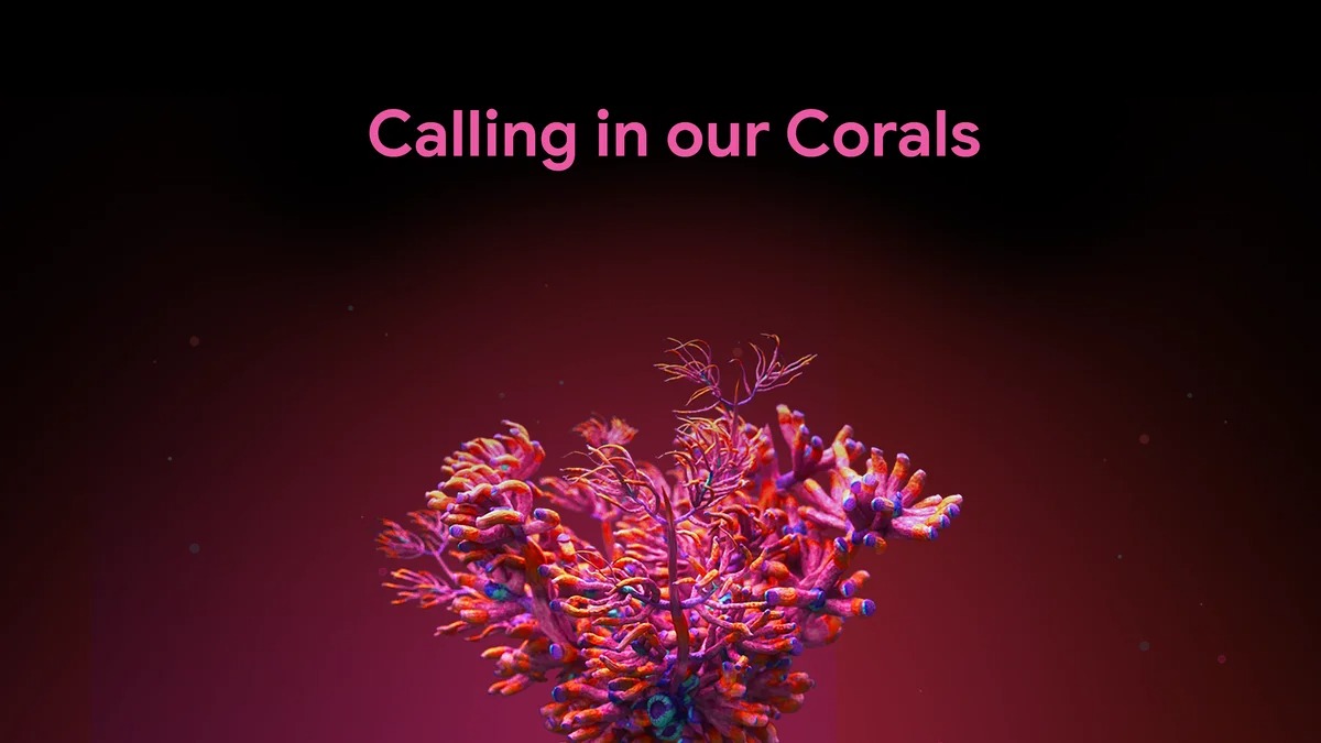 A new AI tool to help monitor coral reef health - Aiholics: Your Source ...